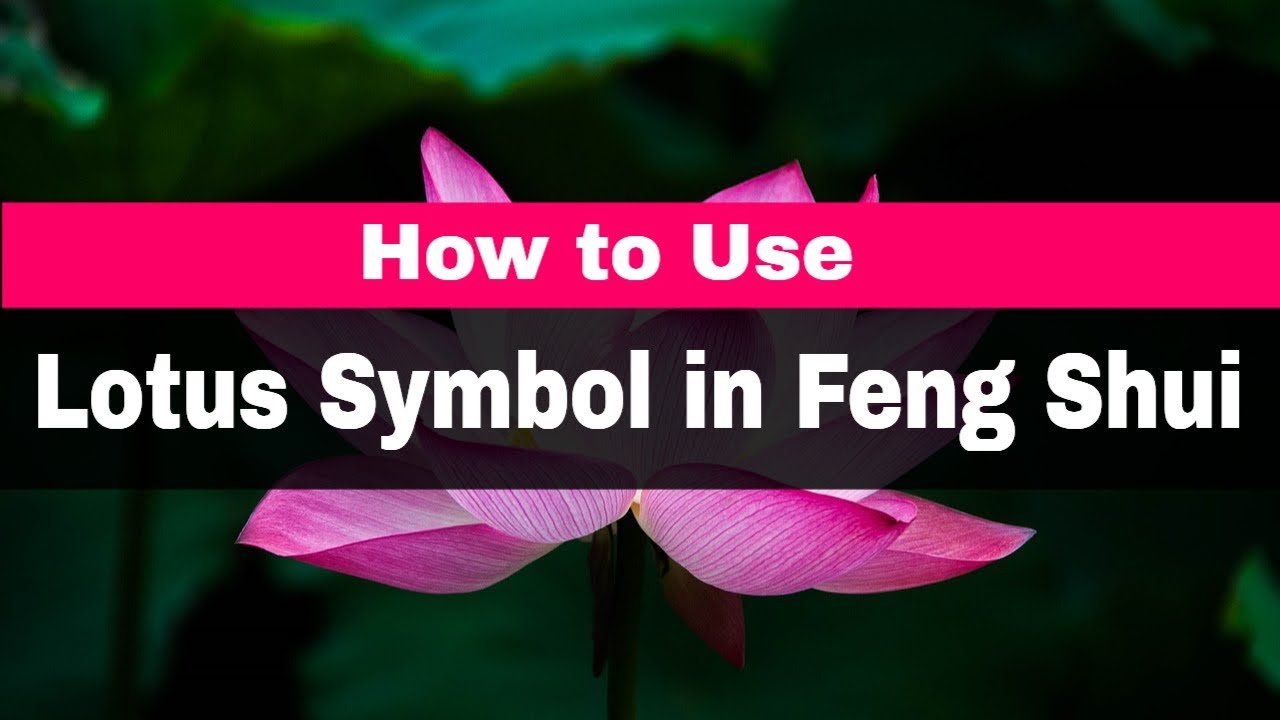 How To Use The Lotus Symbol In Feng Shui