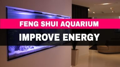 How To Use The Phoenix Symbol In Feng Shui
